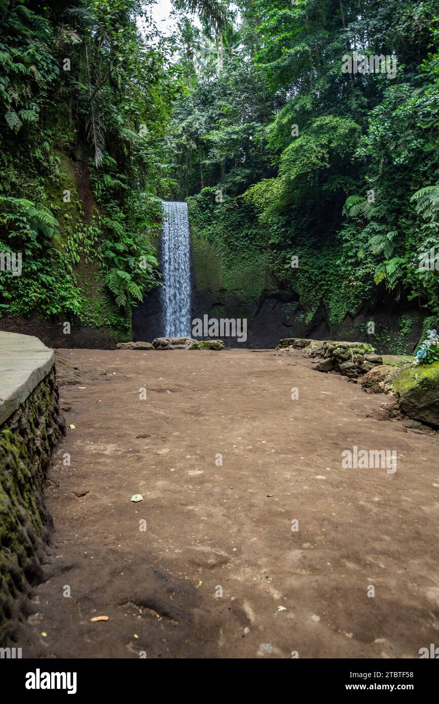 Tibumana Waterfall, a small wide waterfall in a green gorge, the river ...