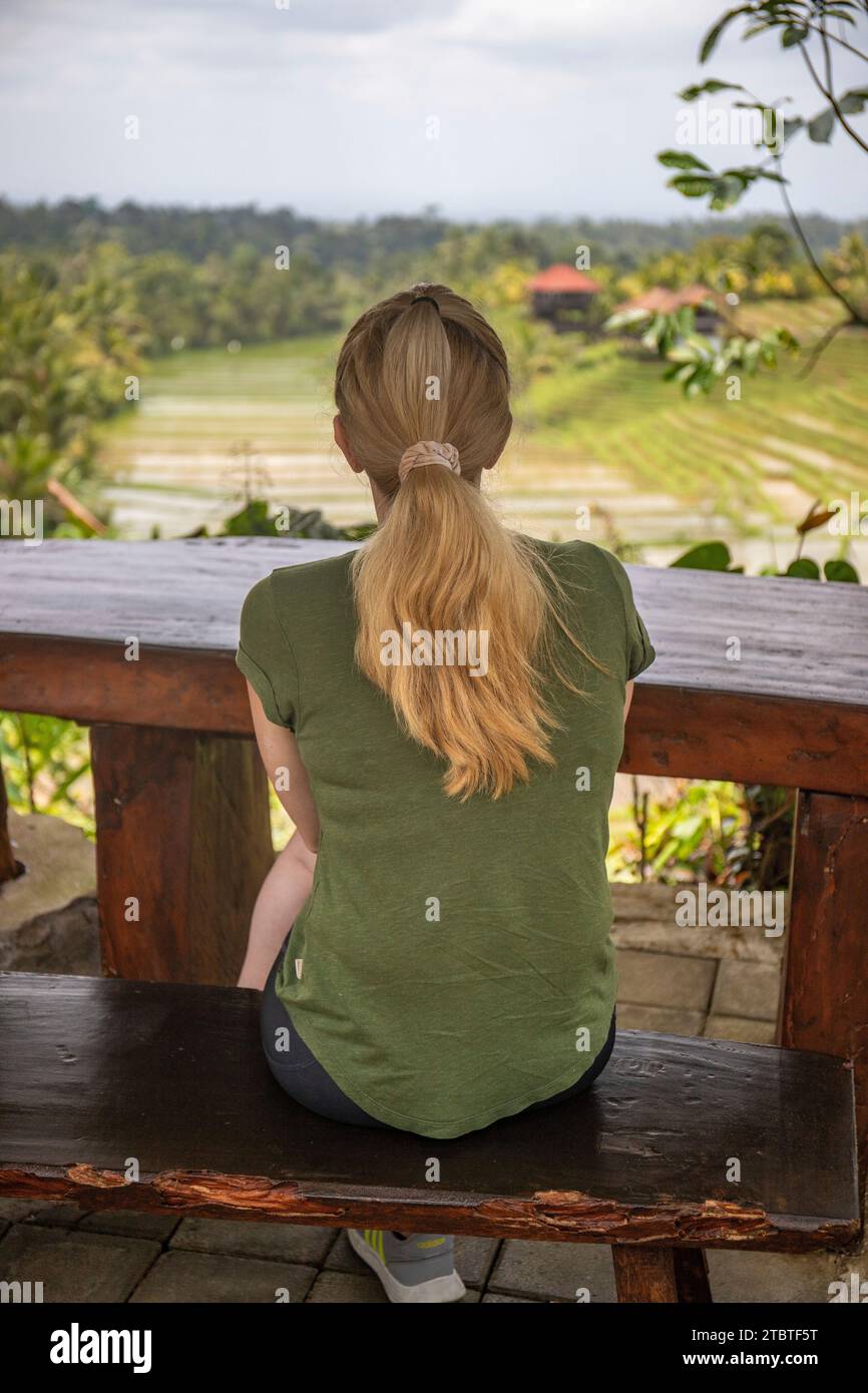 Rice terraces in the evening light, beautiful green rice terraces with ...
