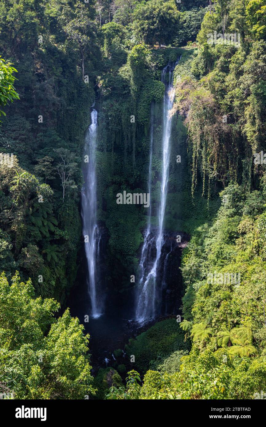 The Sekumpul waterfall, a large waterfall in the middle of the jungle ...