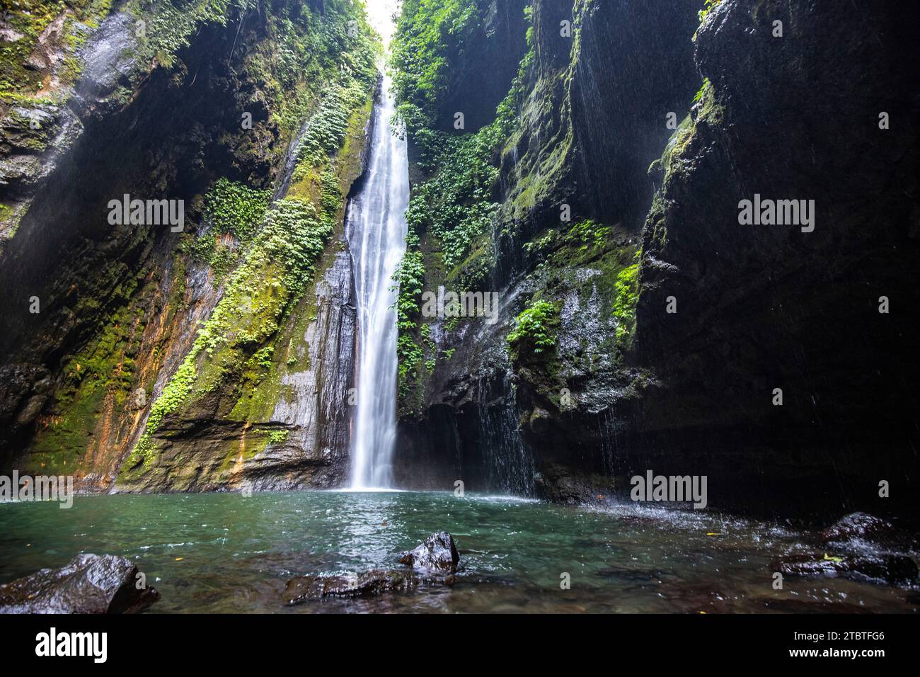 Green overgrown canyon in tropical surroundings, stream of a waterfall ...