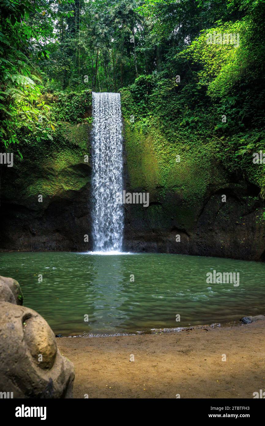 Tibumana Waterfall, a small wide waterfall in a green gorge, the river ...