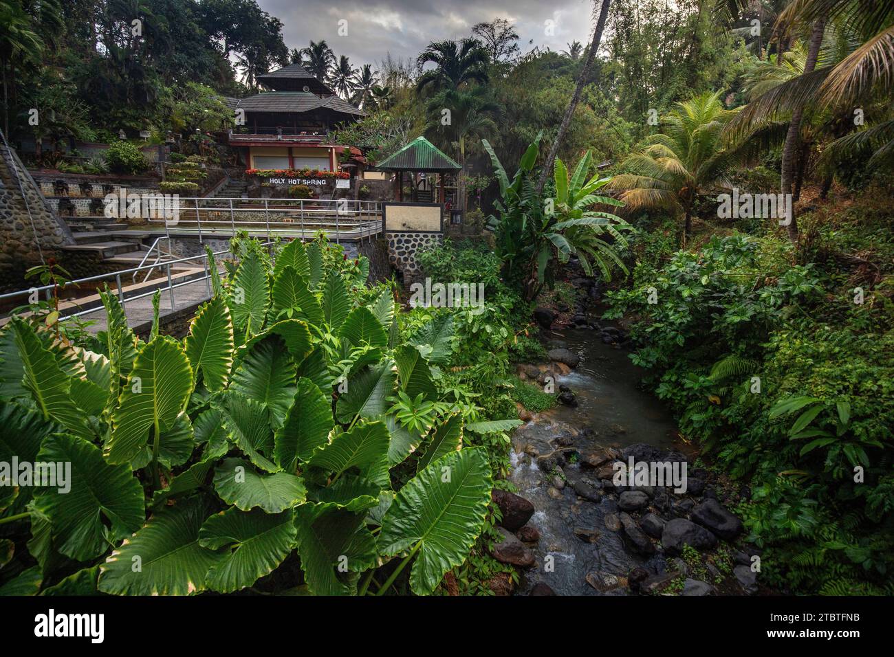 Hot springs, thermal bath in the tropical jungle, ritual sulphurous ...