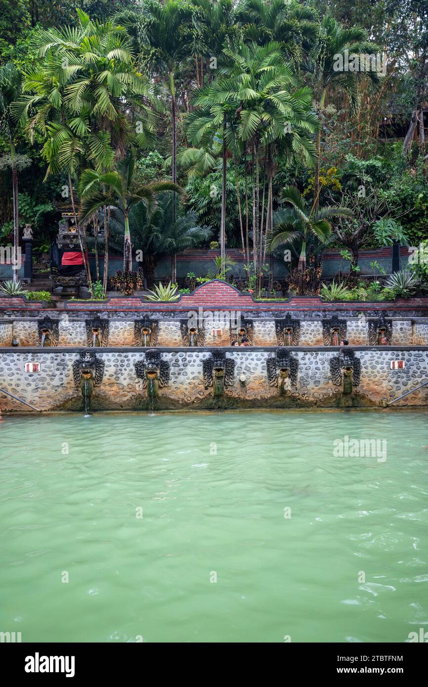 Hot springs, thermal bath in the tropical jungle, ritual sulphurous ...