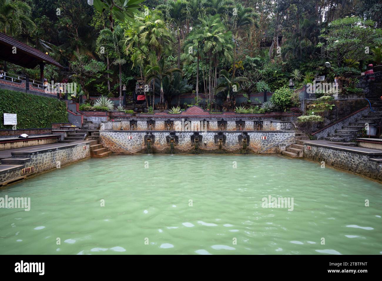 Hot springs, thermal bath in the tropical jungle, ritual sulphurous ...