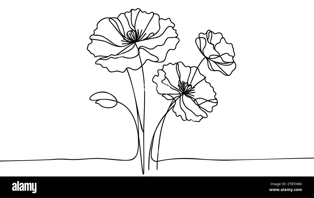 Poppy flowers in continuous line art drawing style. Doodle floral ...