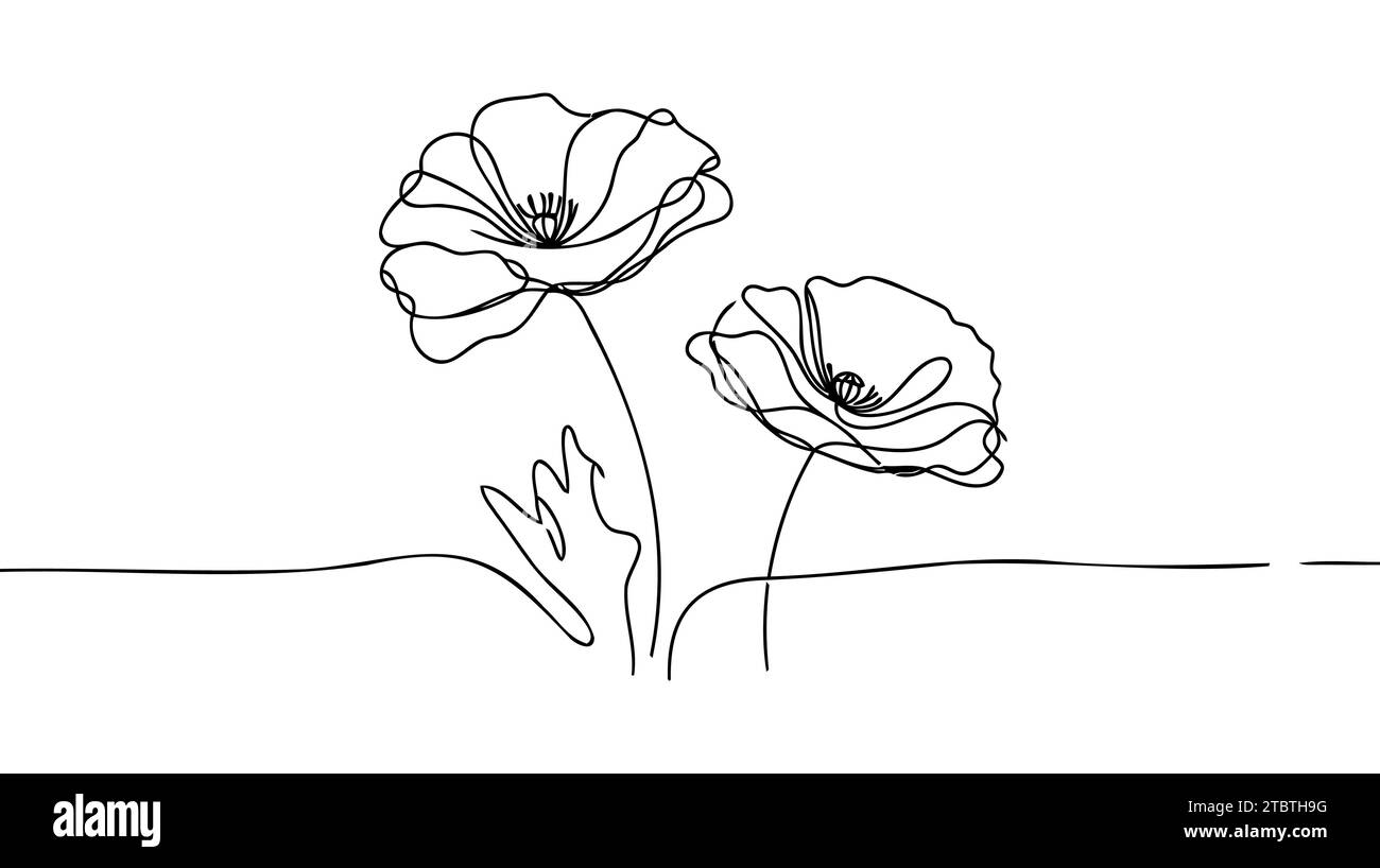 Poppy flowers in continuous line art drawing style. Doodle floral ...