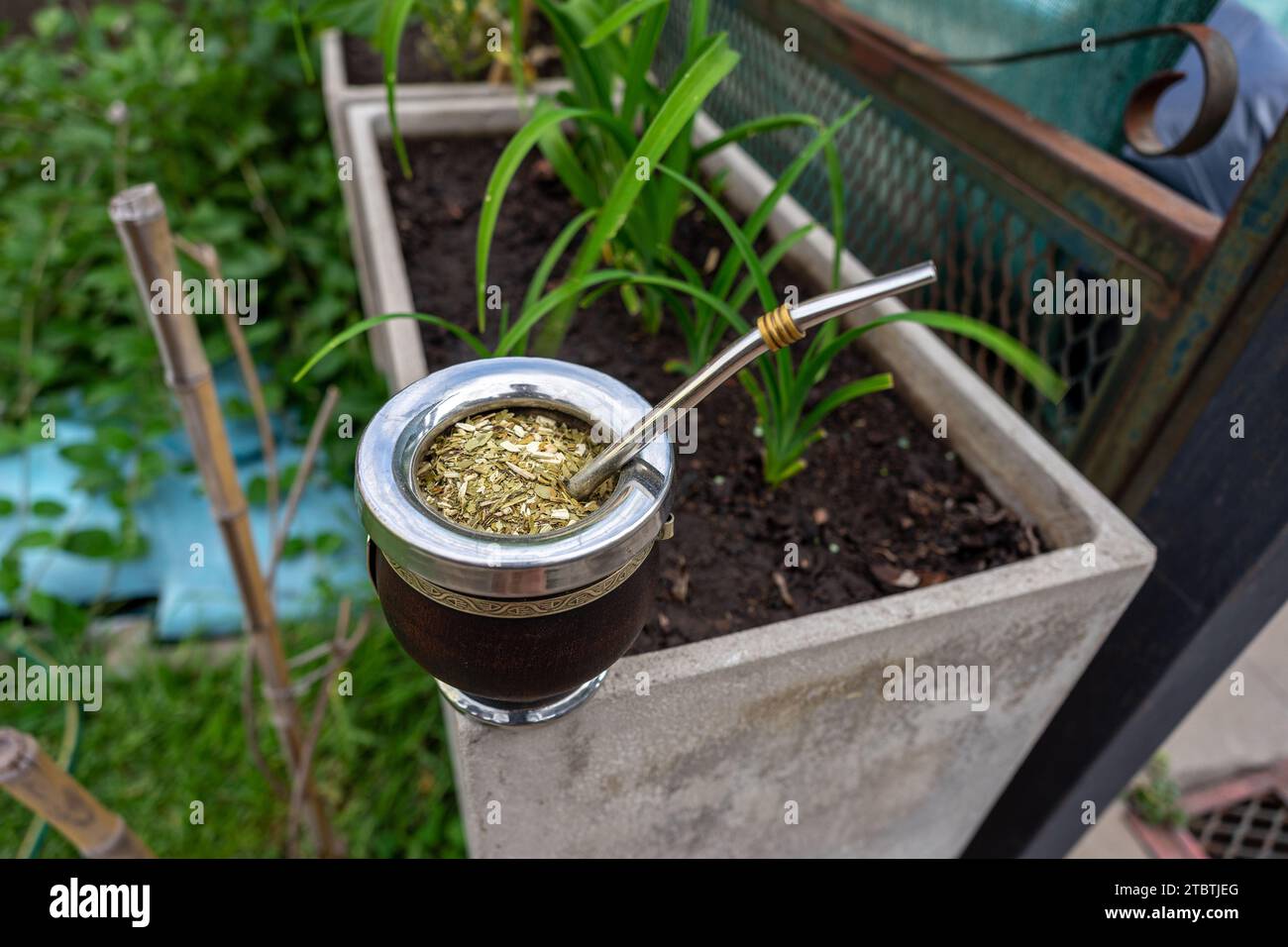 Sharing yerba mate hi-res stock photography and images - Alamy