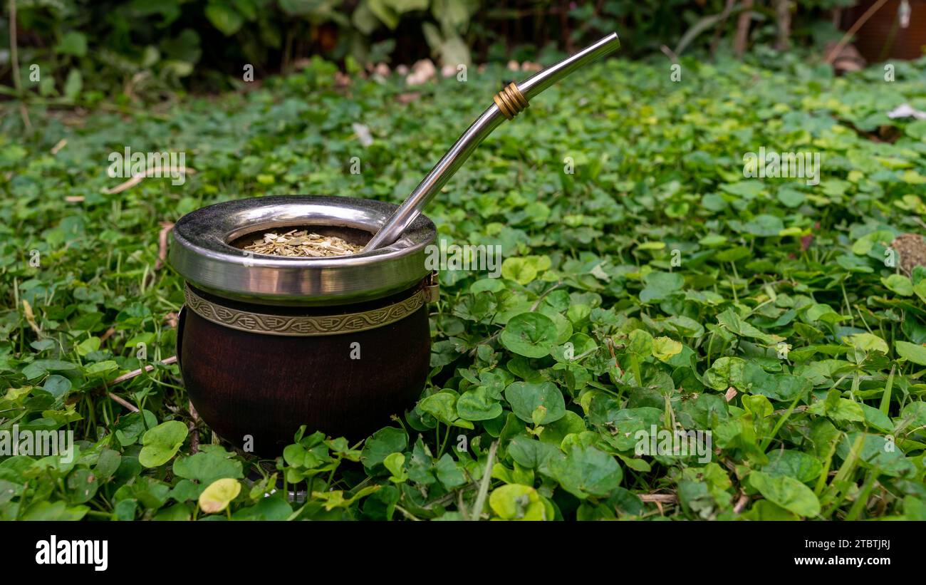 Traditional sharing yerba mate hi-res stock photography and images - Alamy