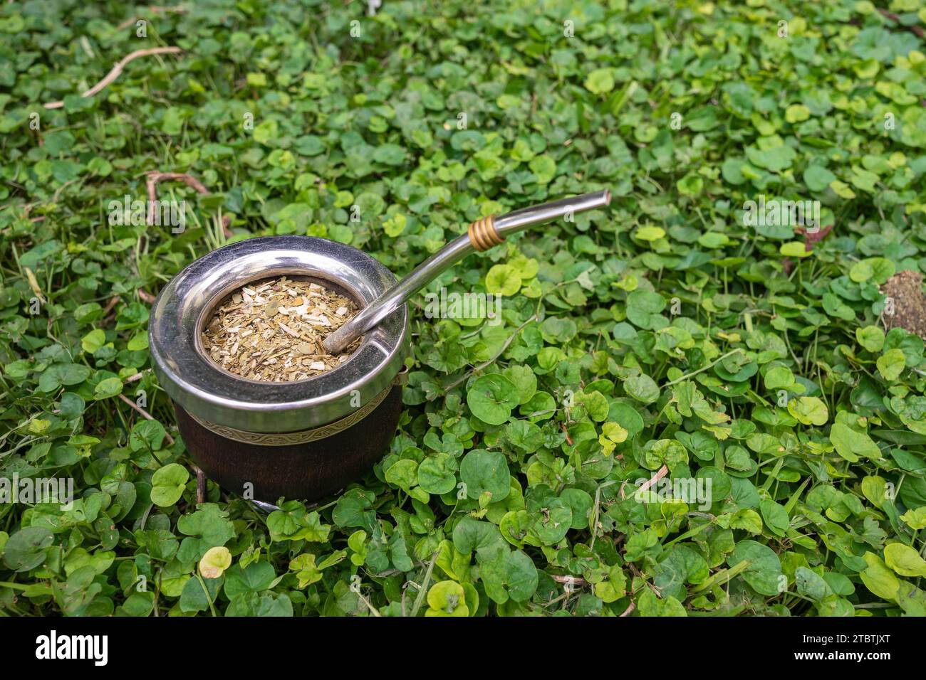 Traditional sharing yerba mate hi-res stock photography and images - Alamy