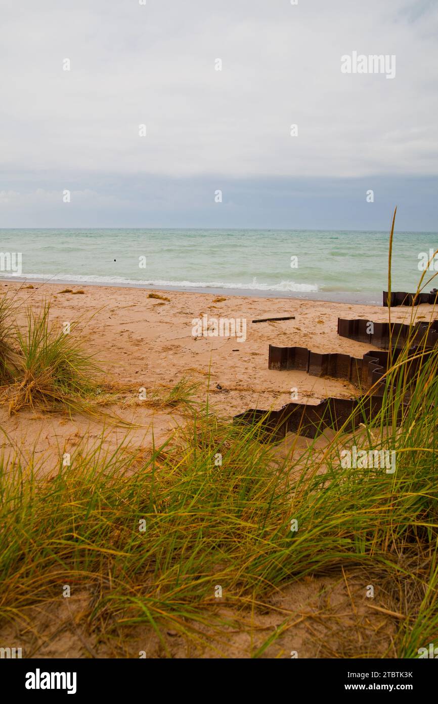 Serene Overcast Beach Scene with Weathered Wood in Michigan Stock Photo ...