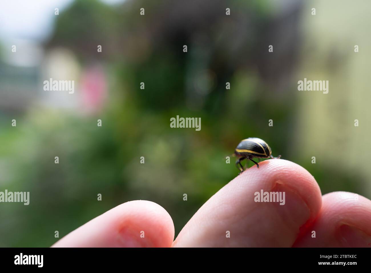 Human fingerprints hi-res stock photography and images - Alamy