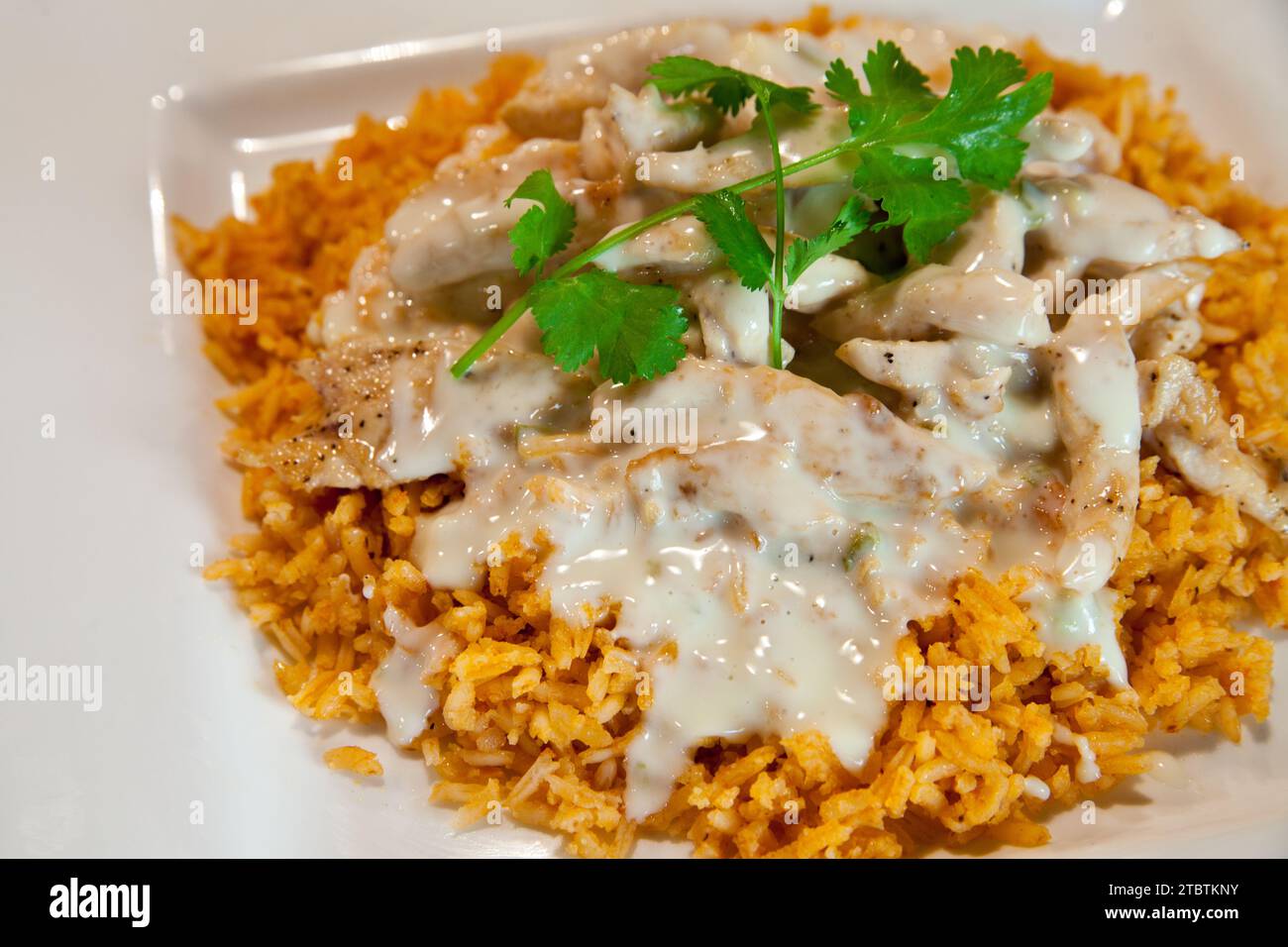 Close-up of Arroz con Pollo, Grilled Chicken on Seasoned Rice with ...