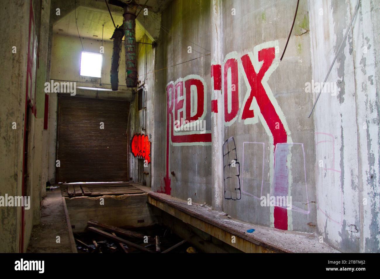 Urban Decay and Graffiti Art RED FOX in Abandoned Industrial Space, St ...