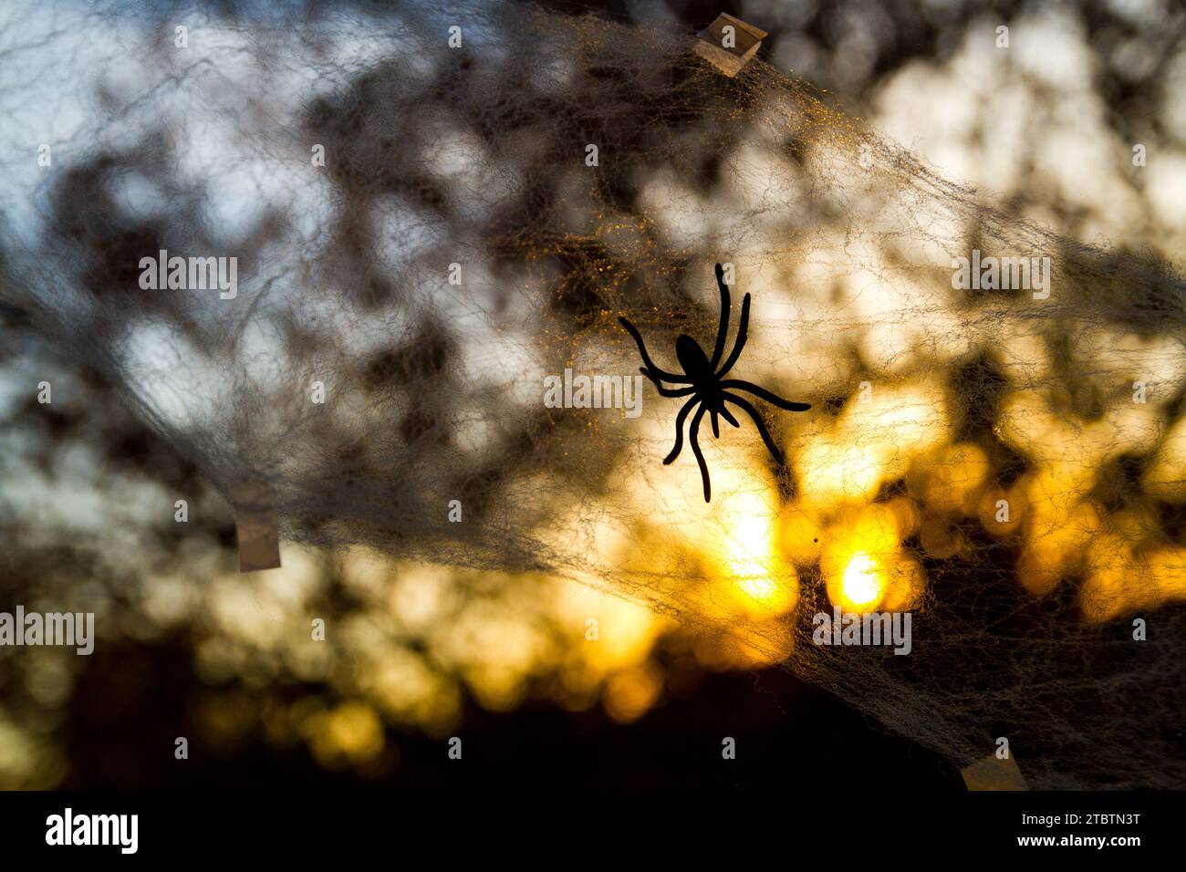 Fake spider web outdoor hi-res stock photography and images - Alamy