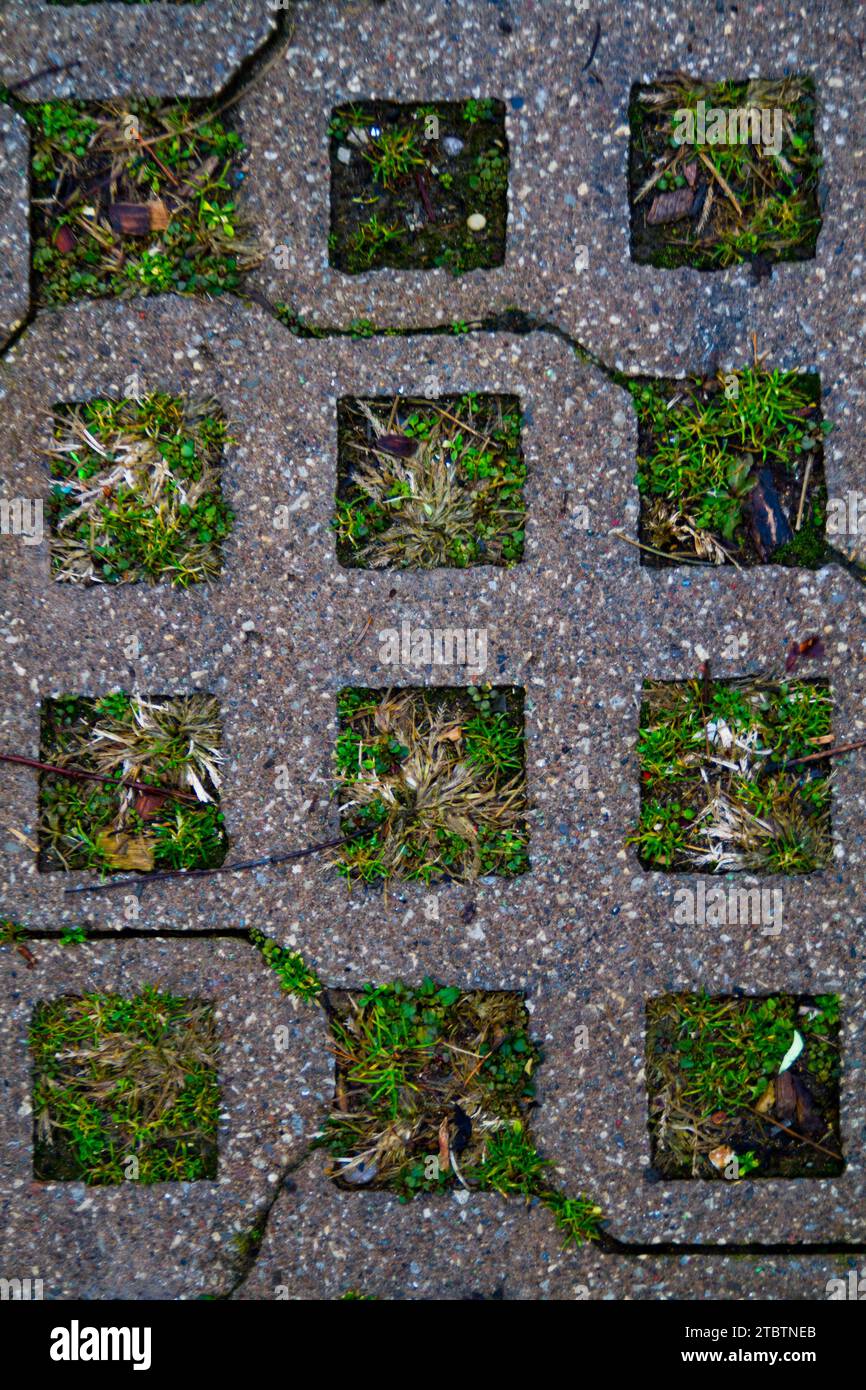 Green urban planning environmental resilience hi-res stock photography ...