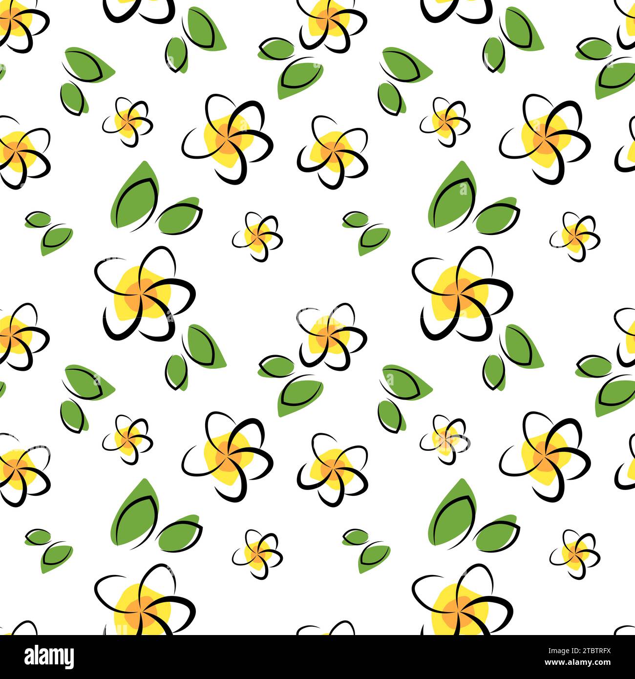 Bunch white plumeria flower Stock Vector Images - Alamy
