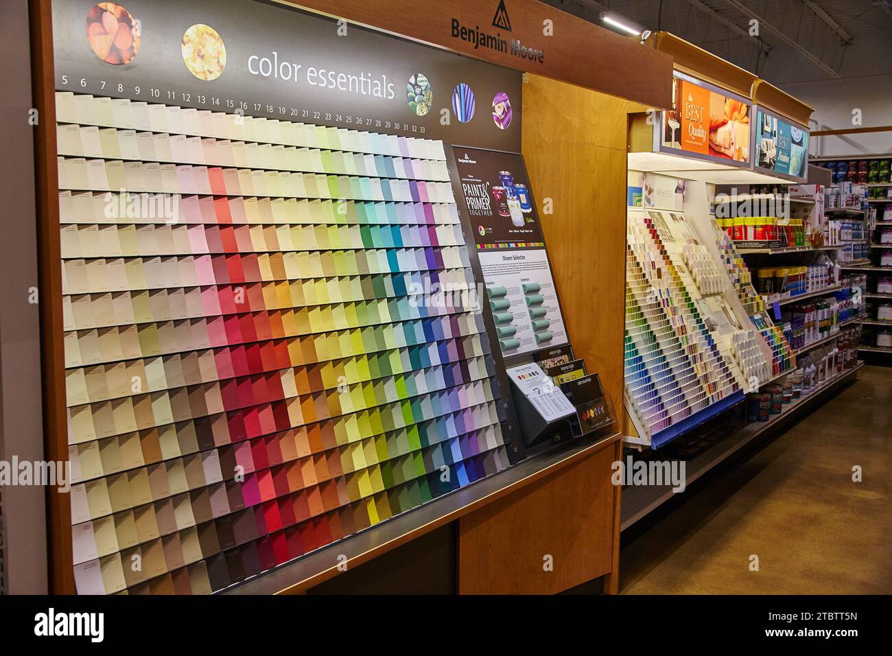 Inviting Paint Store Interior Showcasing Color Swatches and Samples ...