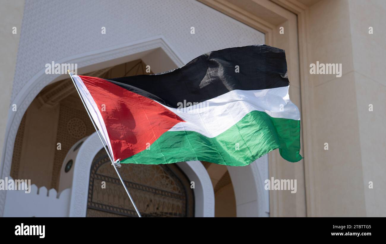 waving the Palestinian flag as a gesture of solidarity during a protest ...