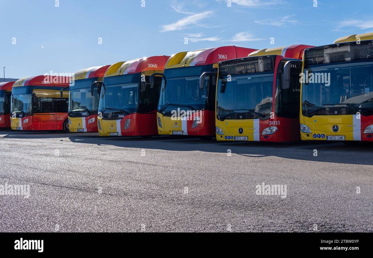 Felanitx, Spain; december 06 2023: Buses of the public company TIB ...