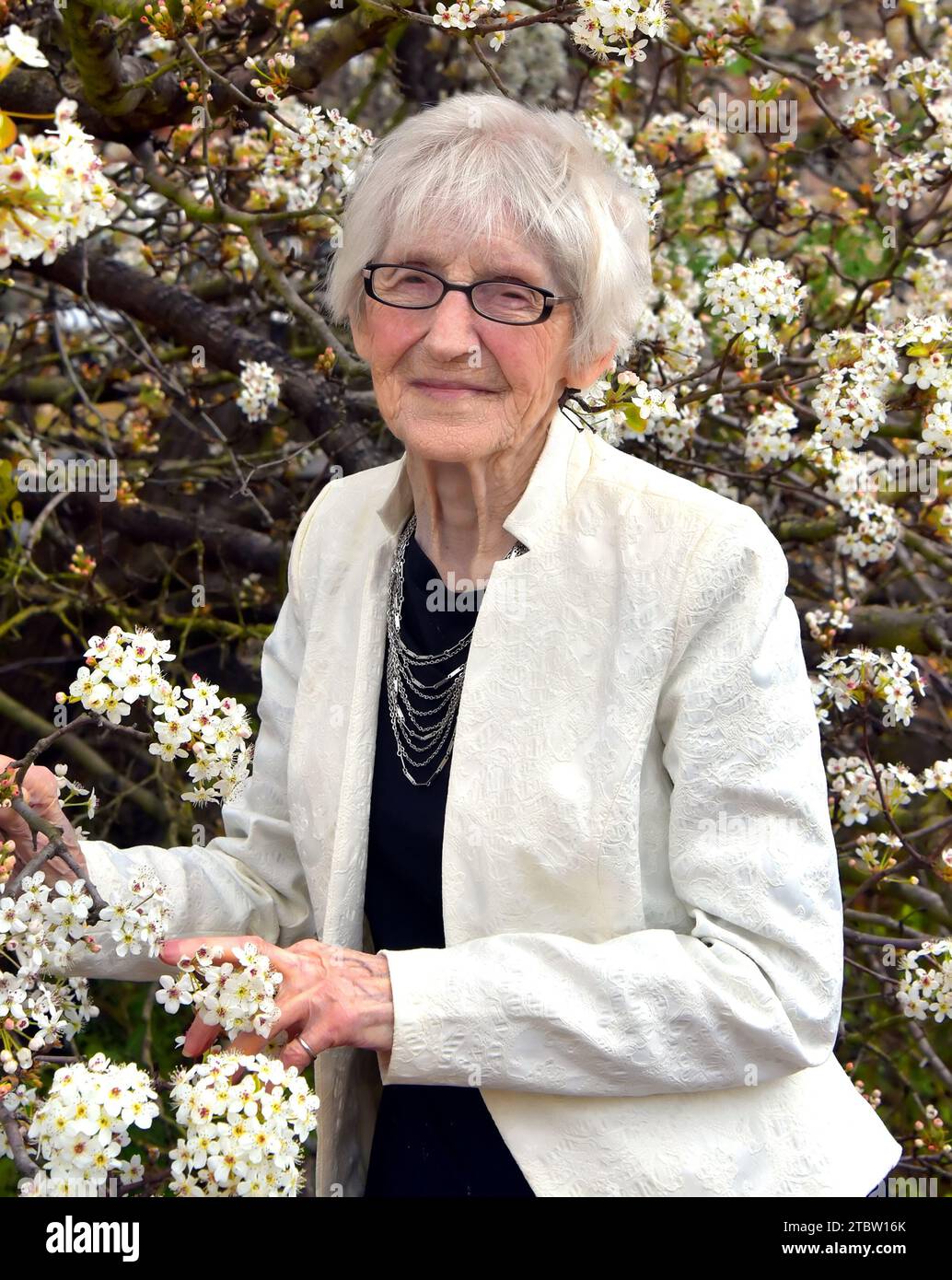 Elderly woman who is almost one hundred years old, poses by a pear tree ...