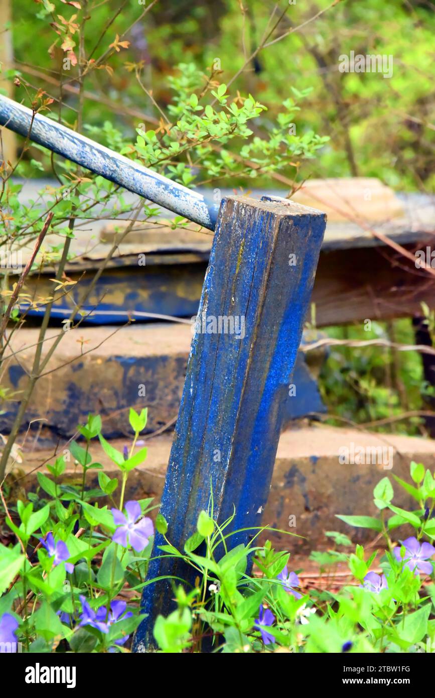 Blue wooden post refuses to give into the weeds and bushes overgrowing ...