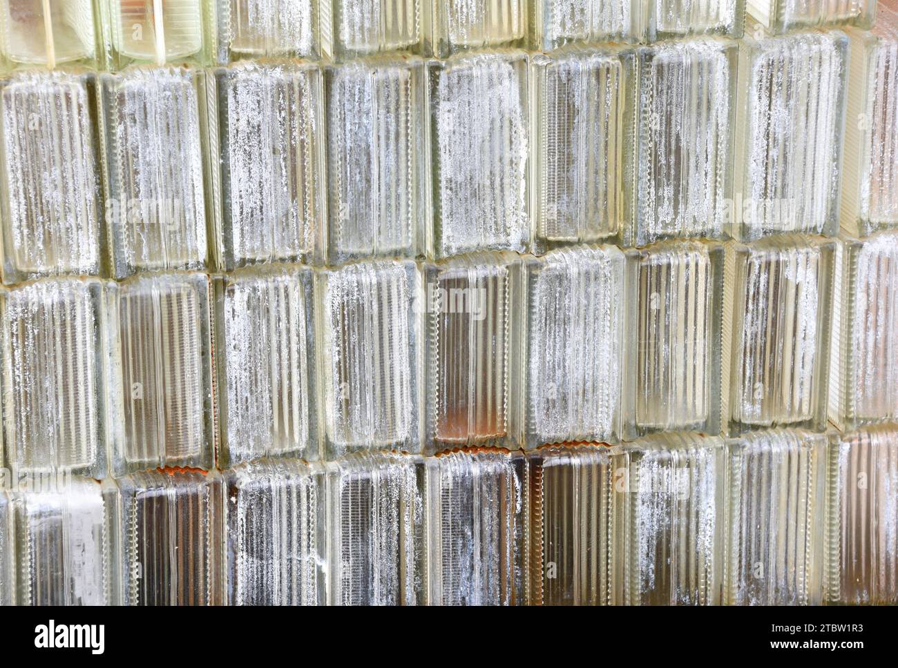 Close up of window, shows glass bricks. Window is opaque but lets in ...