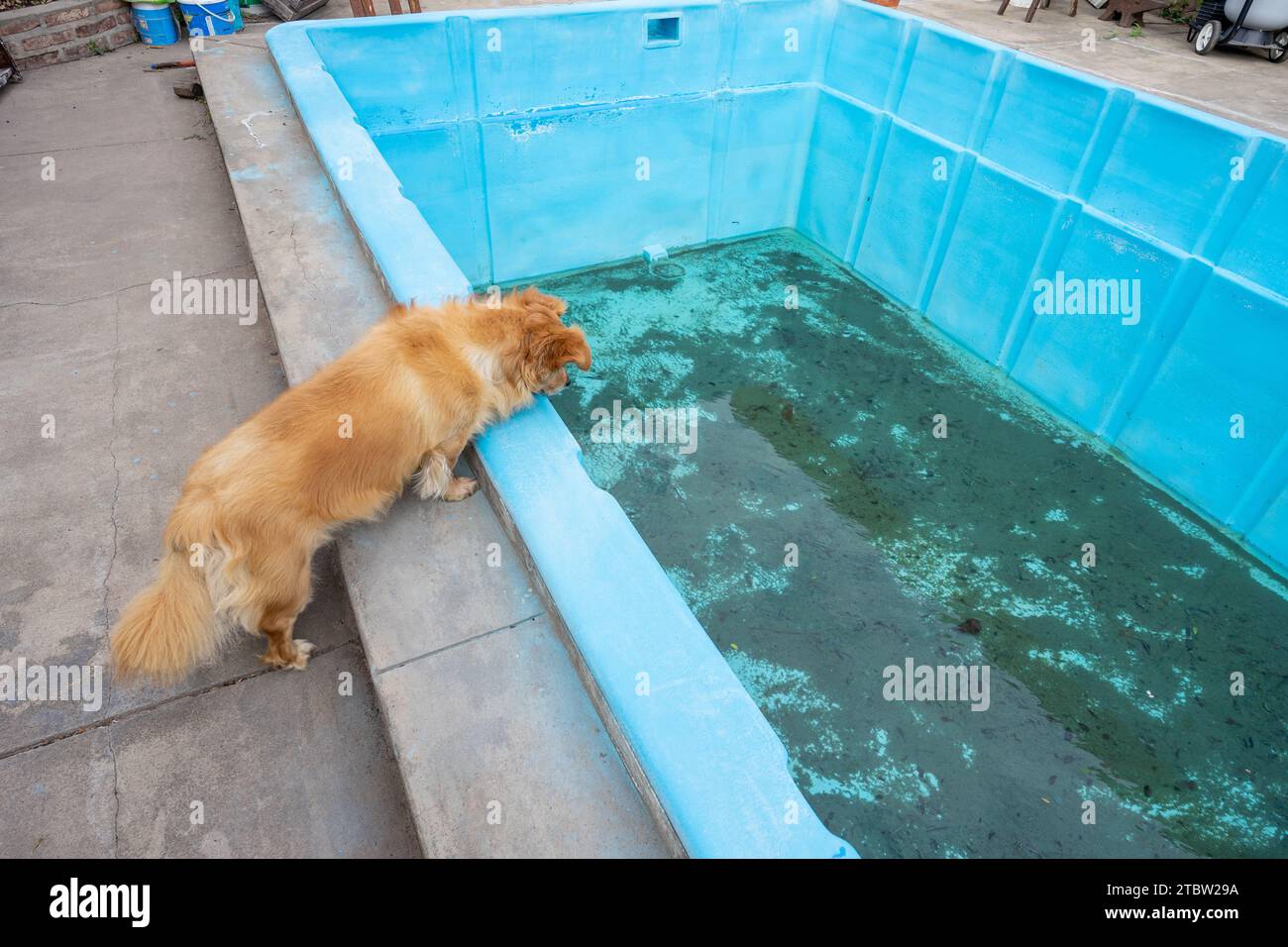 Dirty swimming pool hi-res stock photography and images - Alamy