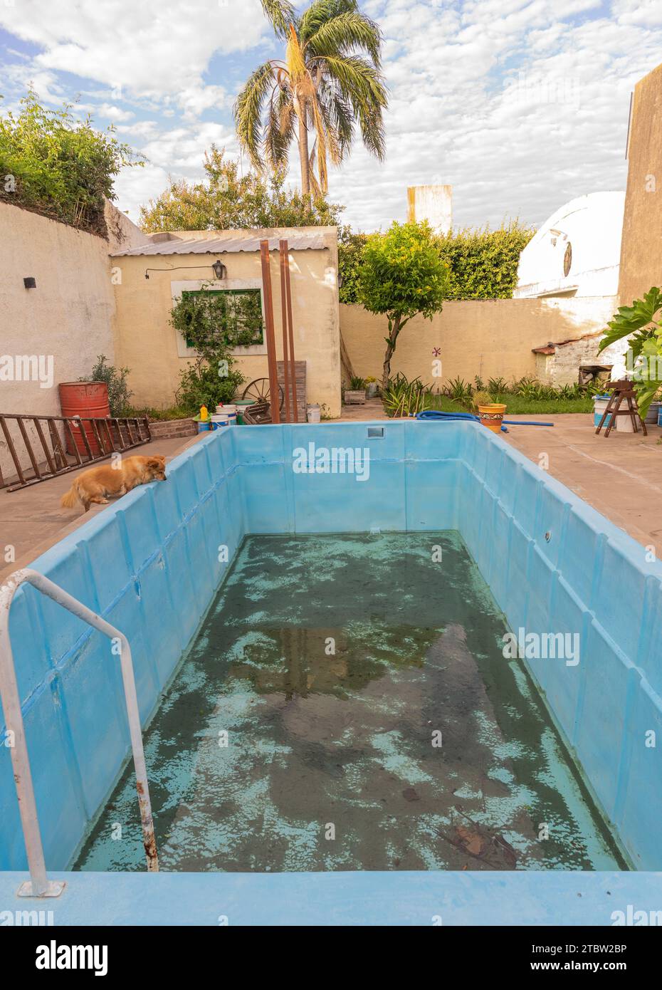 Empty derelict outdoor swimming pool hi-res stock photography and ...