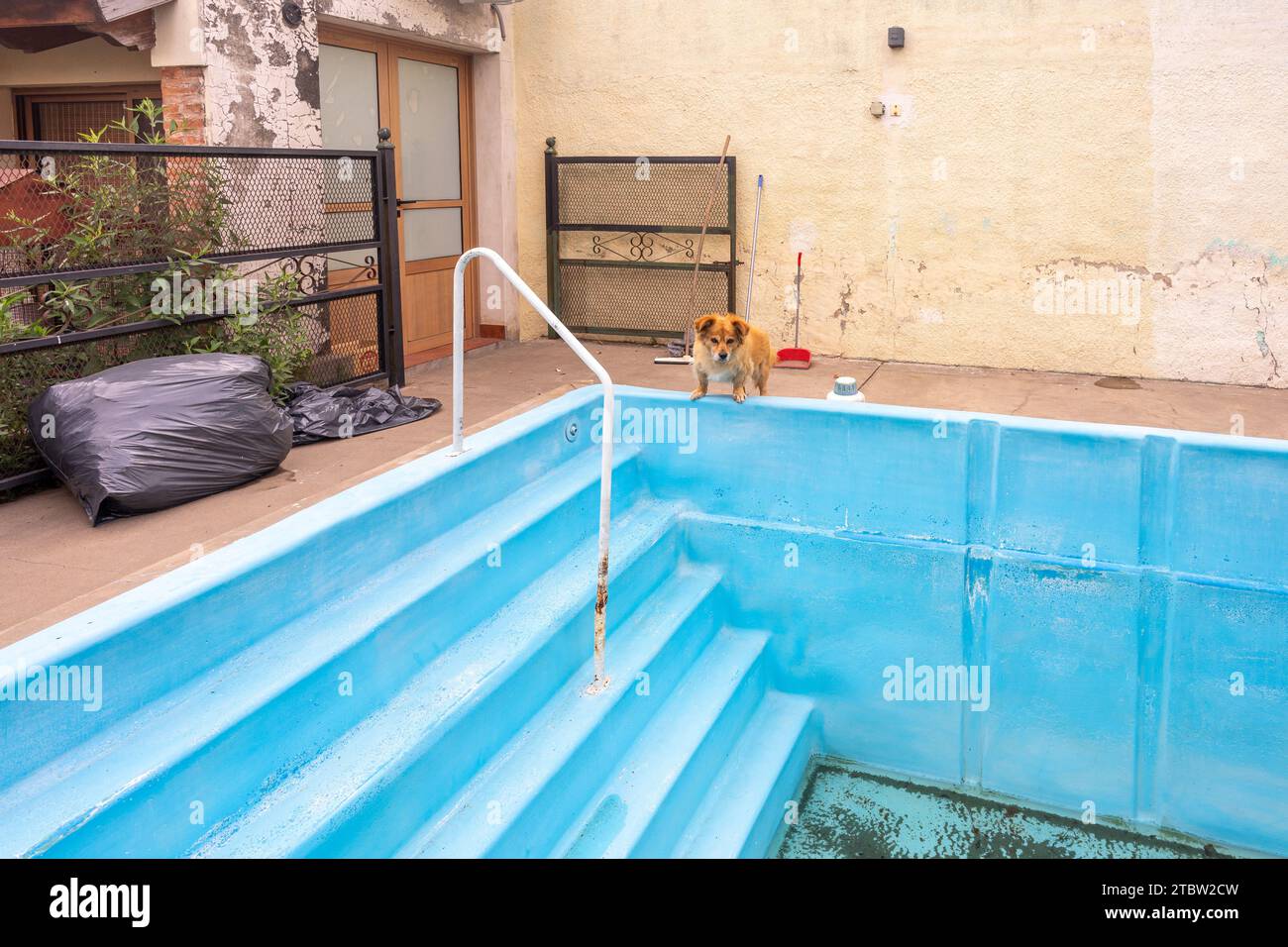 empty blue pool a little dirty Stock Photo - Alamy