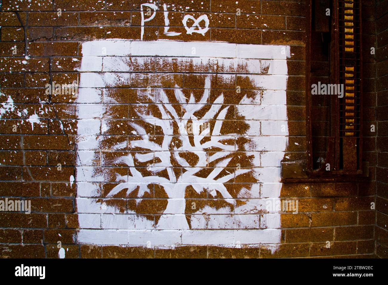 Urban Decay and Graffiti Art Tree on Aged Brick Wall, St. Louis ...