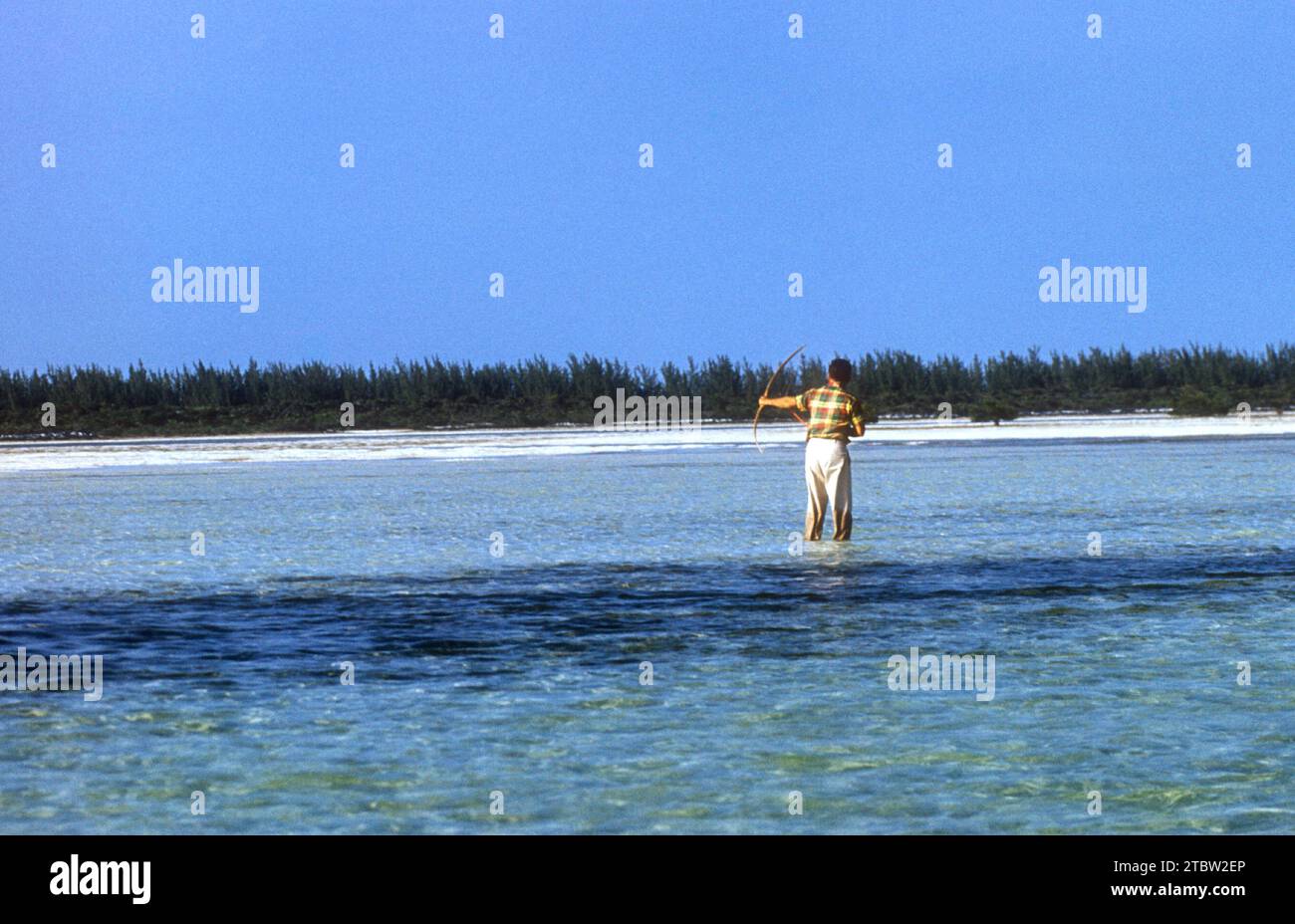 BAHAMAS - APRIL 7: Colyn Rees shoots his bow and arrow while bone ...