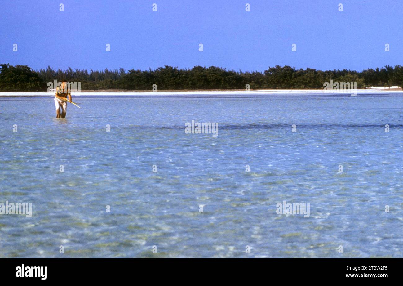 BAHAMAS - APRIL 7: Colyn Rees gets ready to release his bow and arrow ...
