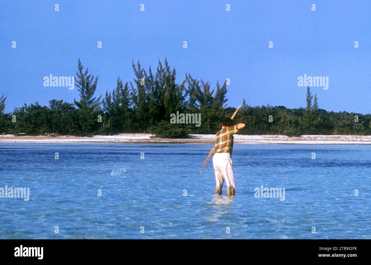 BAHAMAS - APRIL 7: Colyn Rees strikes with his bow and arrow while bone ...