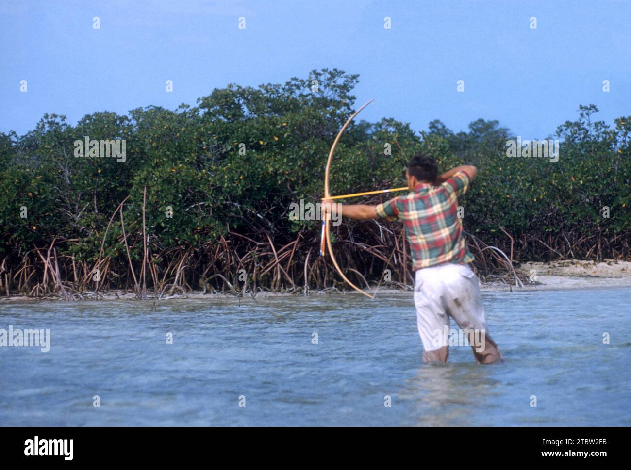 BAHAMAS - APRIL 7: Colyn Rees gets ready to strike with his bow and ...