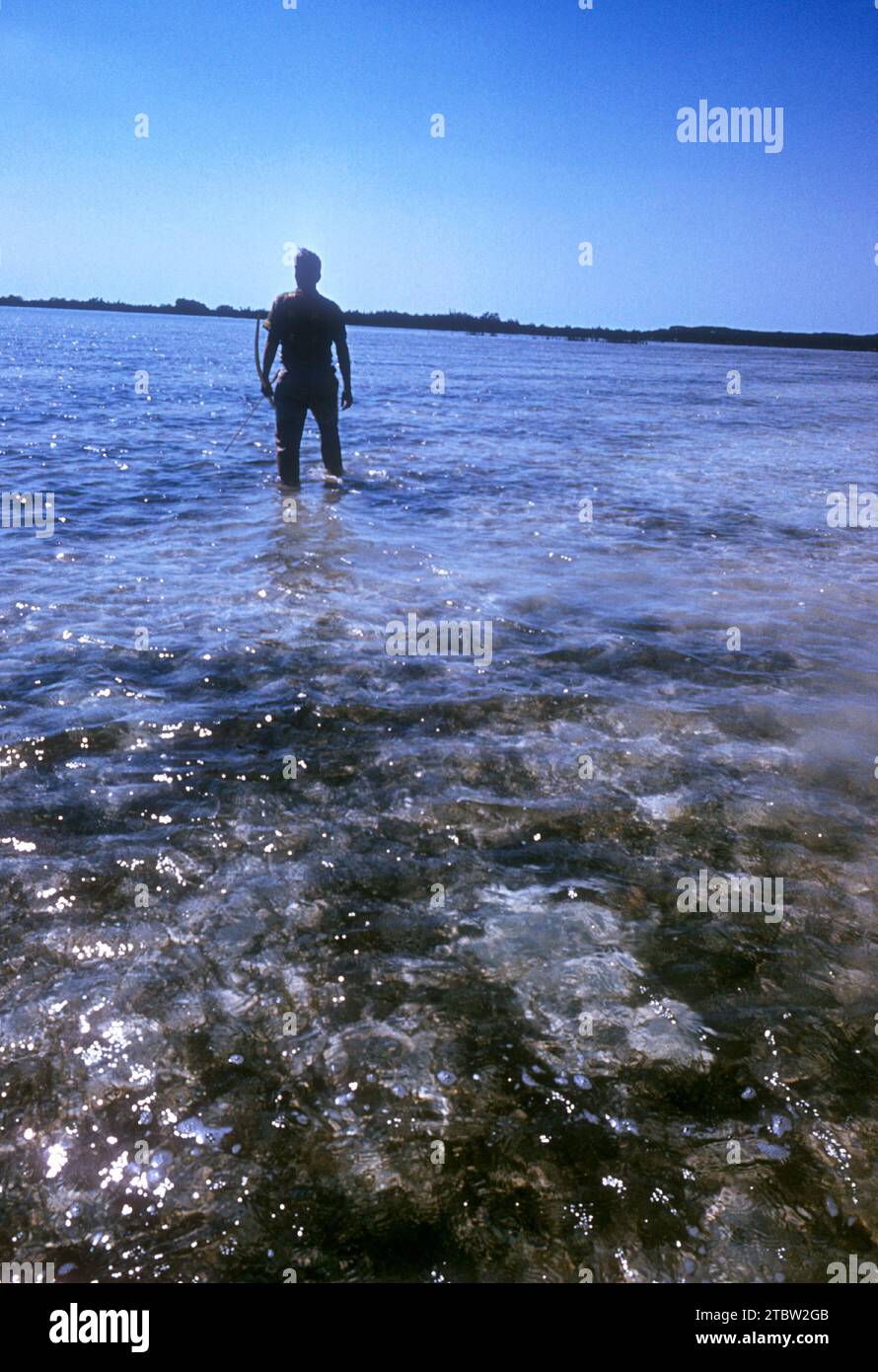 BAHAMAS - APRIL 7: Colyn Rees walks in the water with his bow and arrow ...