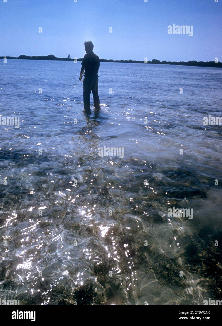 BAHAMAS - APRIL 7: Colyn Rees walks in the water with his bow and arrow ...