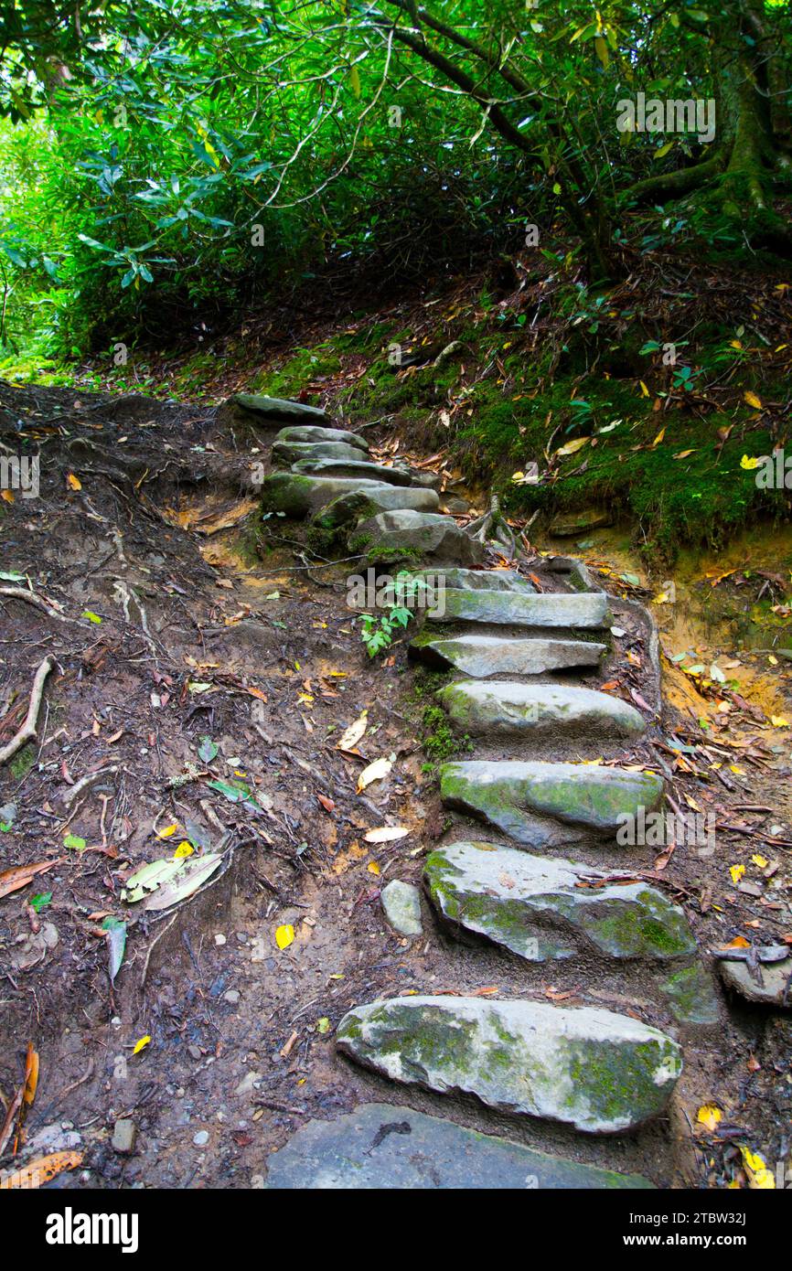 Ascending rustic stone staircase hi-res stock photography and images ...