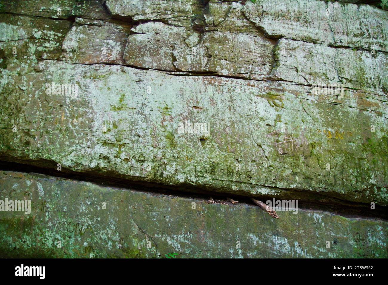 Close-up of Ancient Mossy Rock Surface in Fitzgerald Park, background ...