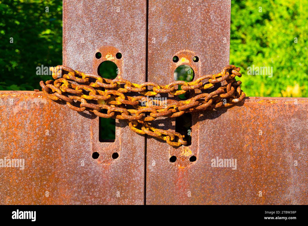 Rusted Gate with Anthropomorphic Design Amidst Vibrant Greenery Stock ...
