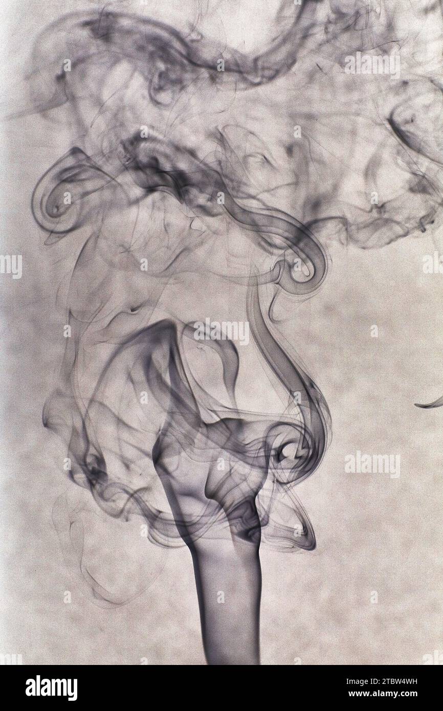 Subtle intricate patterns hi-res stock photography and images - Alamy