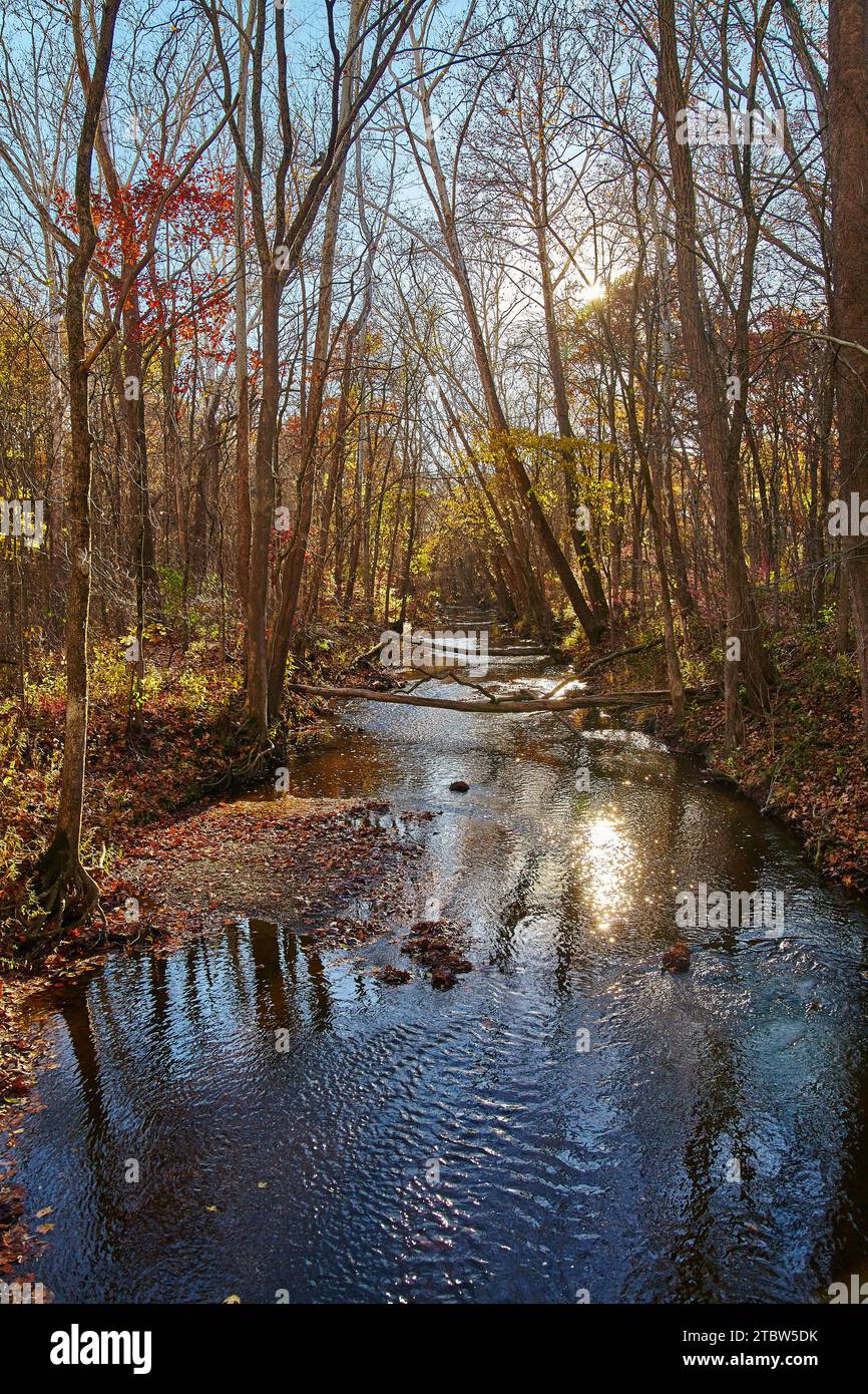 Autumn Serenity on Bicentennial Acres River, Indiana Stock Photo - Alamy