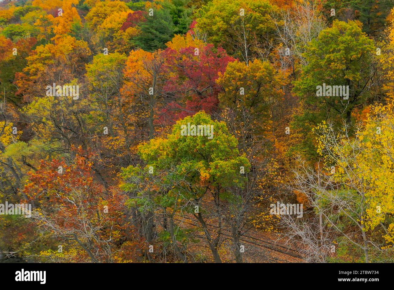 Fall foliage aerial hi-res stock photography and images - Alamy