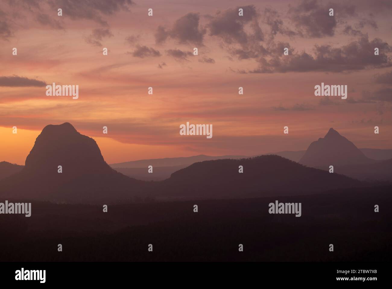 Beerburrum, Australia. 3rd December 2023. Tourists visit the Wildhorse ...