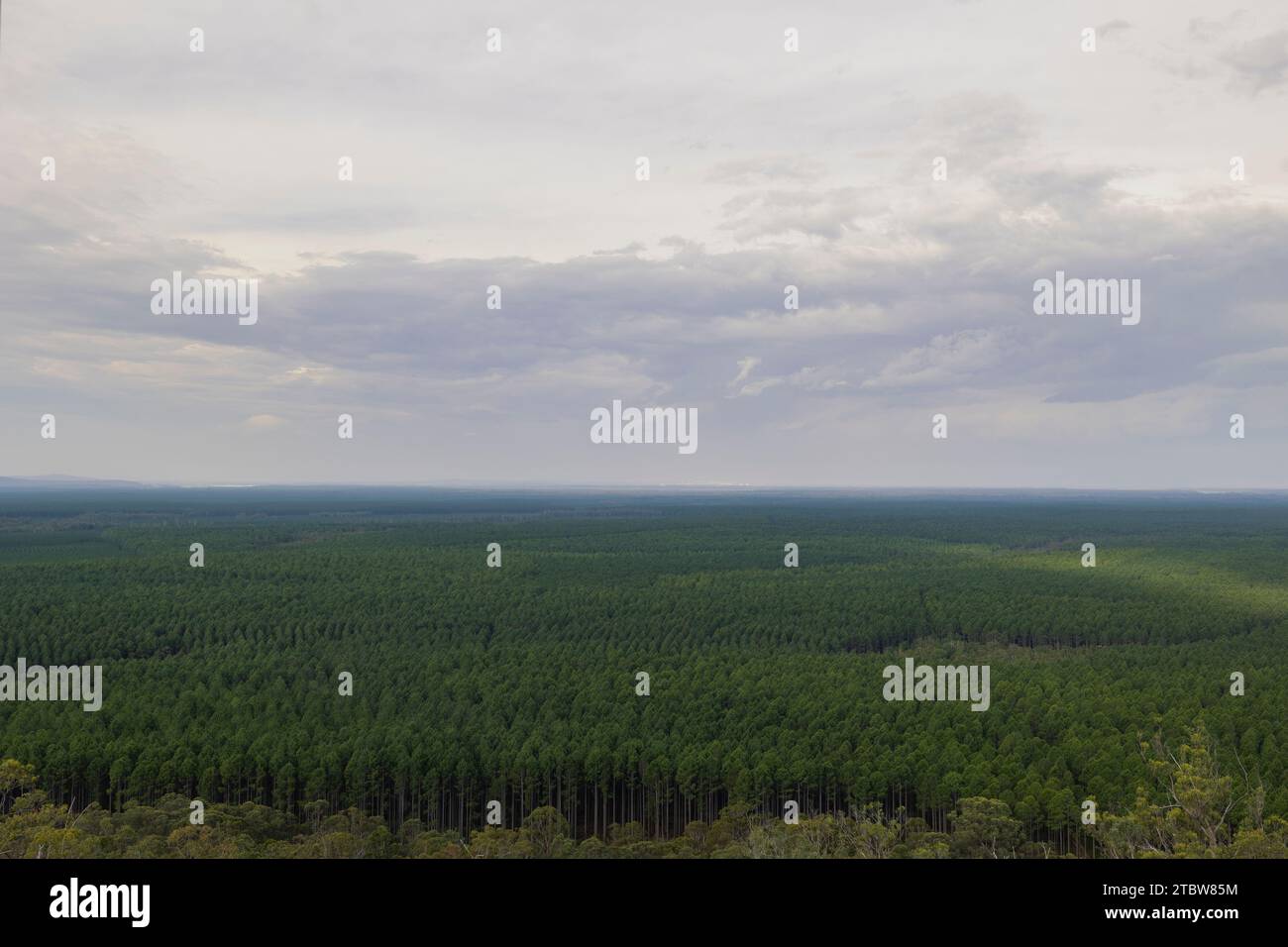 Beerburrum, Australia. 3rd December 2023. Tourists visit the Wildhorse ...