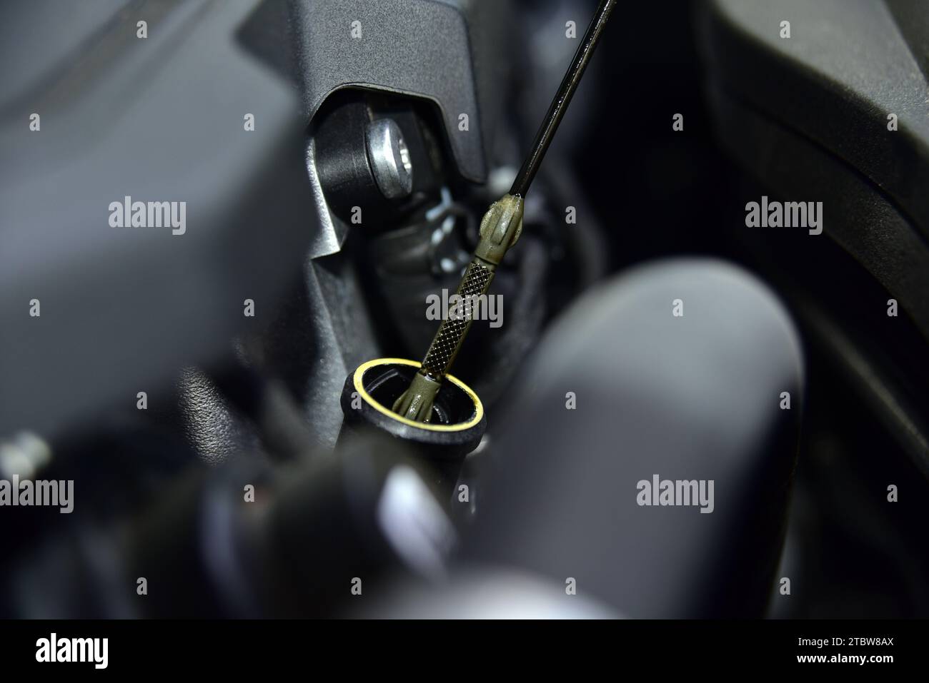 Pulled rod to measure the oil in the car engine Stock Photo - Alamy