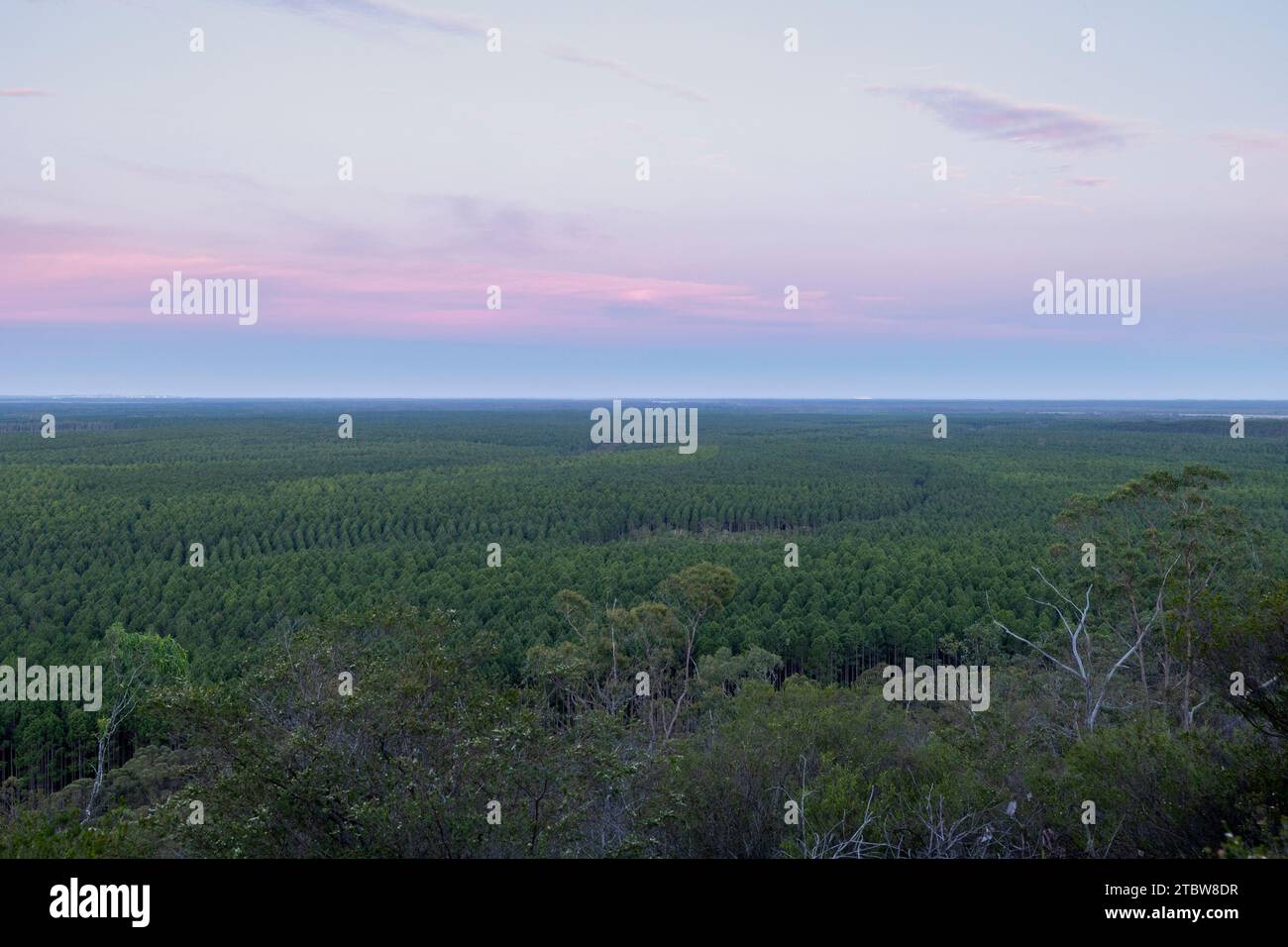 Beerburrum, Australia. 3rd December 2023. Tourists visit the Wildhorse ...