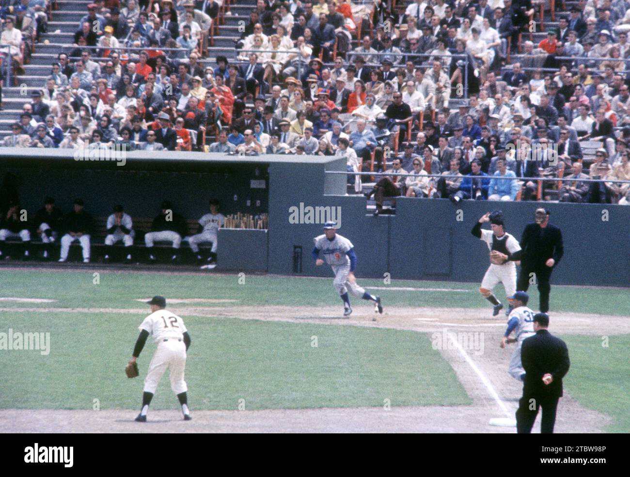 Wally moon baseball hi-res stock photography and images - Alamy