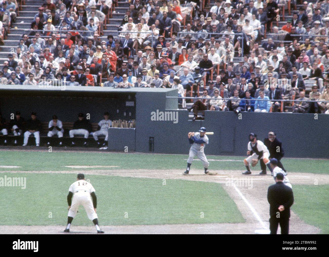 Wally moon baseball hi-res stock photography and images - Alamy