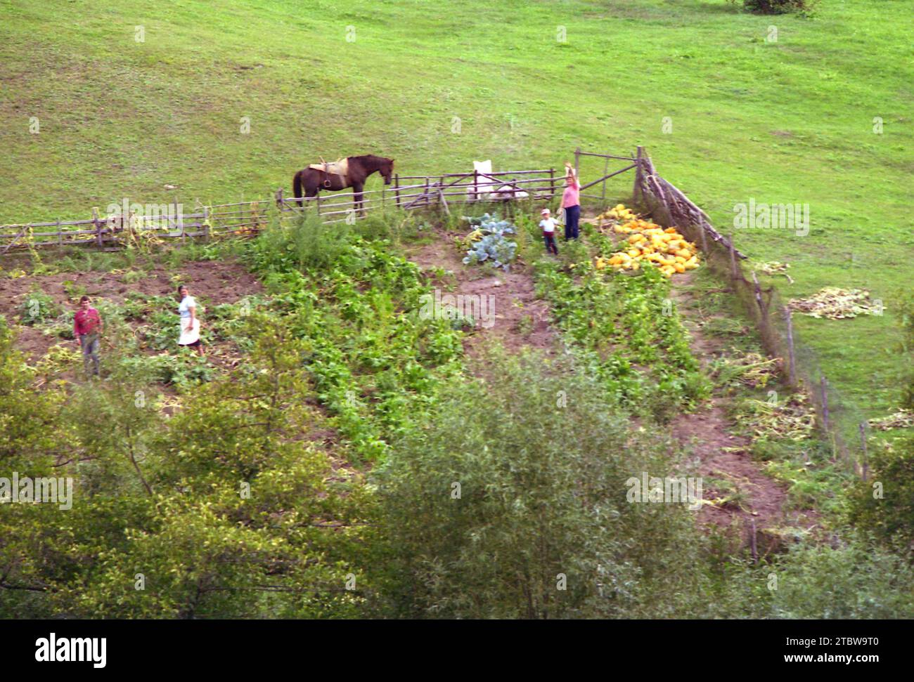Seasonal work people working farming agricultural hi-res stock ...