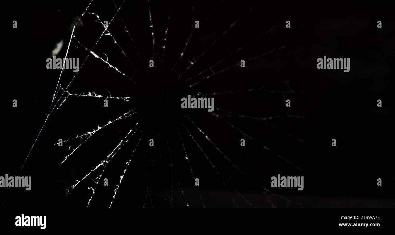 Old, withered spider’s web, shimmers in the brilliantly backlit ...